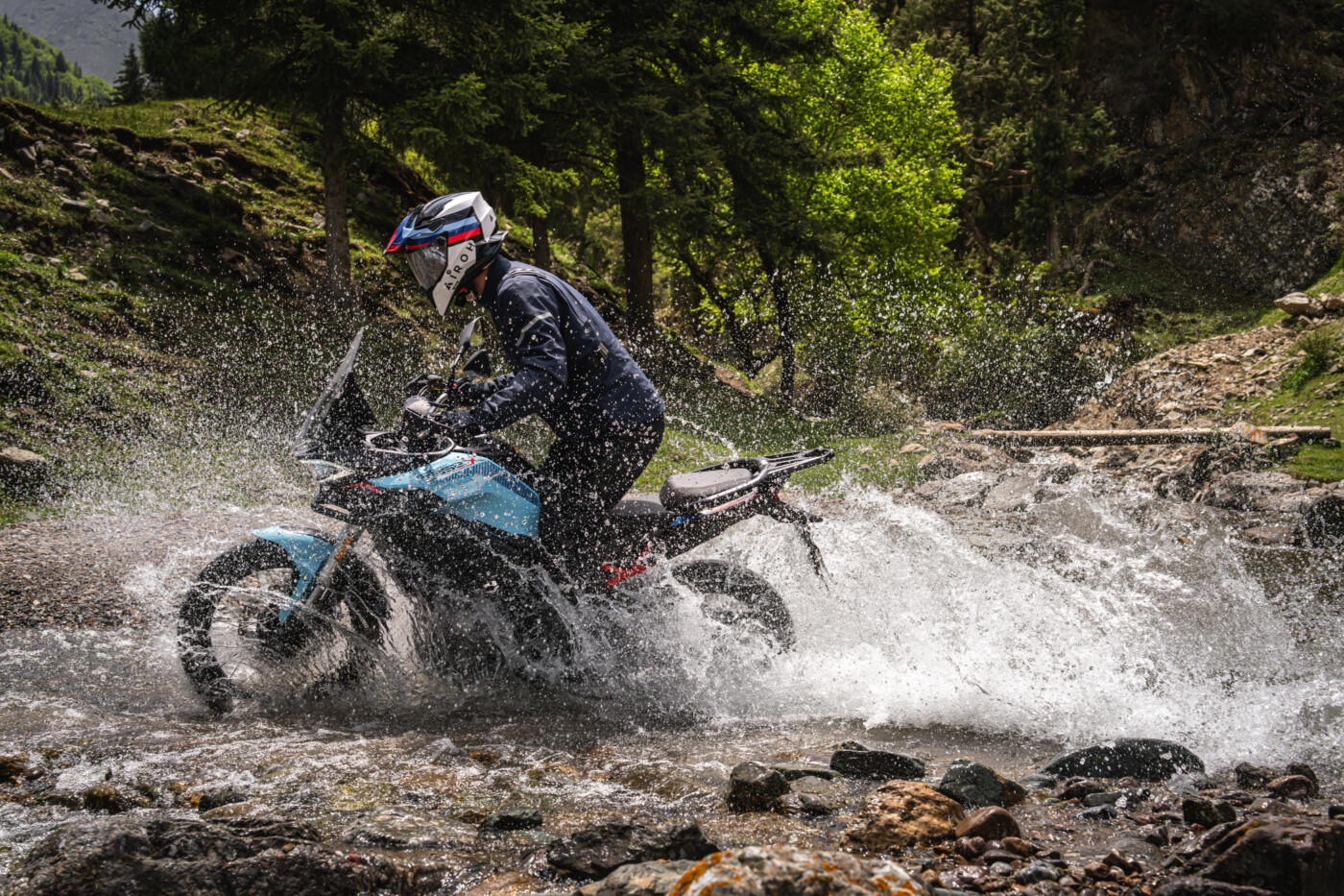 T352X Abs - E5+ - Pogliani